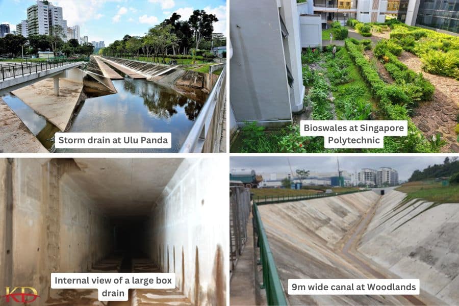 The Role of Proper Drainage in Preventing Flooding & Waterborne Disease ...